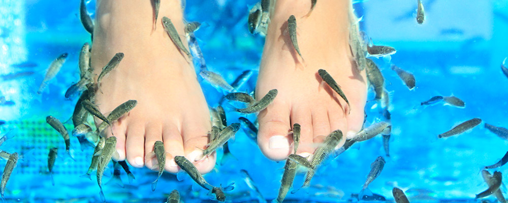 Instant fish spa: 30 minutes à 25 euros pour deux personnes